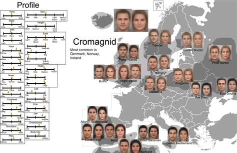 Useful Phenotype Maps Rphenotypes
