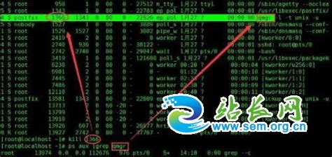 打开网站出现internal Server Error的原因和解决方法站长网