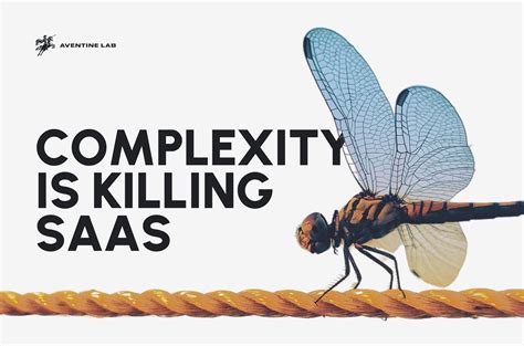 Software Complexity Is Killing Saas Aventine Lab