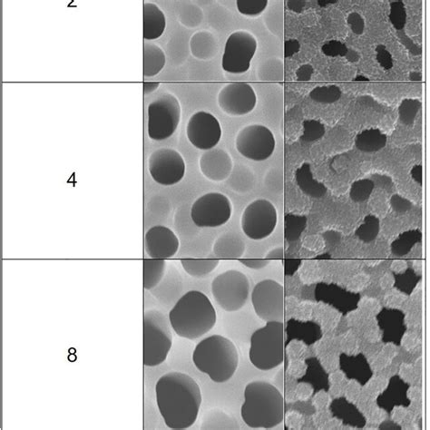 Morphologies Of Aao And Tin Aao After Pore Widening For 1 H A Sem Download Scientific