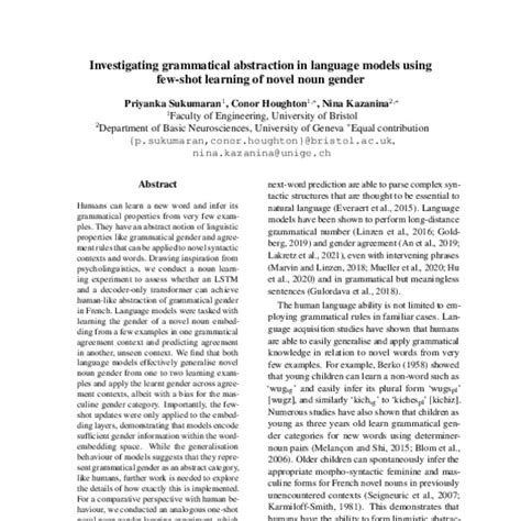 Investigating Grammatical Abstraction In Language Models Using Few Shot Learning Of Novel Noun