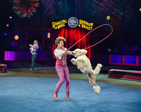 Tips For Your First Time At The Circus Keepmovingforwardwithme