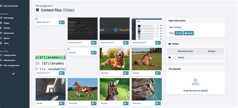 Bolt Filemanager Shows Broken Image Link On Non Image Files Issue Bolt Core GitHub