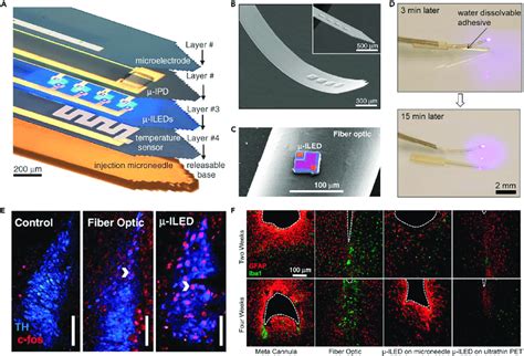 Flexible Multimodal Neural Probes For Minimally Invasive Optogenetics