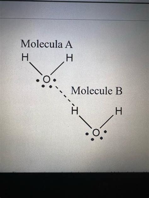 Solved Molecula Athe Strongest Intermolecular Force Between