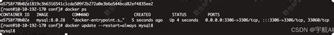 linux 环境中安装 mysql 8 0 的 docker 部署详细步骤 linux docker 安装mysql8 csdn博客