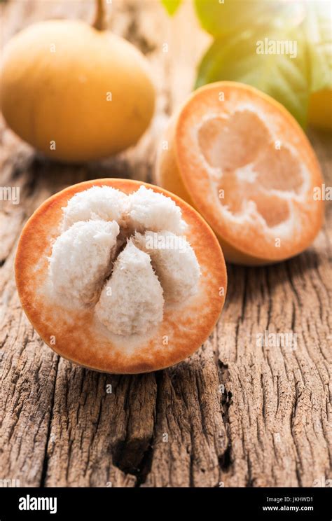Santol Fruit In English