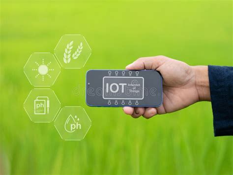 Agricultural Intelligence Science And Technology Agricultural Management And Construction Of