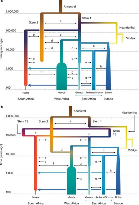Out Of Africa Multiregional Hypothesis And The Races Of The World