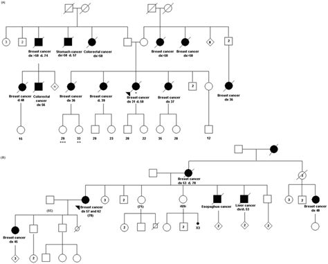 Pedigrees Of Mutation Positive Probands From Group 1 Blackened Symbols Download Scientific