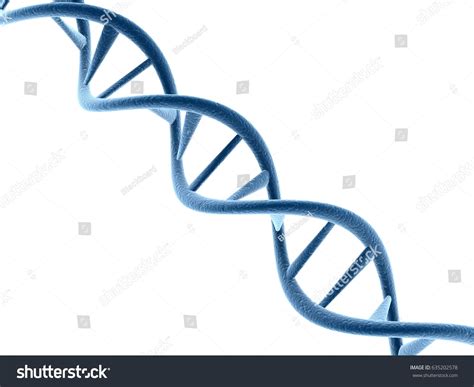 Concept Biochemistry Dna Molecule Isolated White Stock Illustration 635202578 Shutterstock
