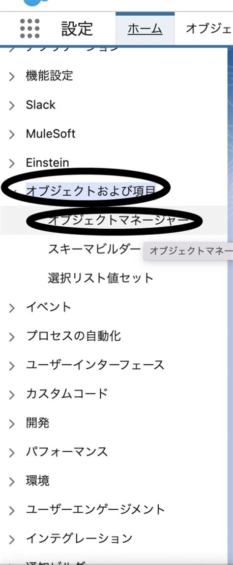 【salesforce】カスタムオブジェクトを作成、カスタムタブを設定、カスタム項目を作成してみた 子育てエンジニアブログ