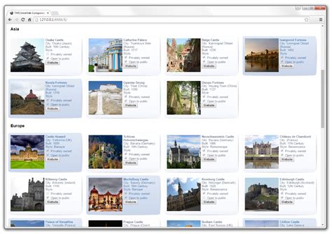 TMS IntraWeb Component Pack Pro Over Components For Building Feature Rich VCL For The Web