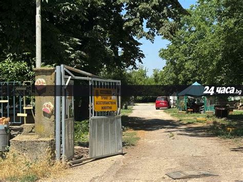 Общинският приют за бездомни животни в Русе търси ветеринарен лекар