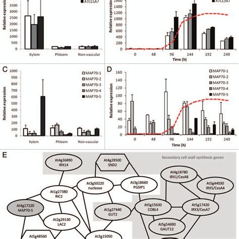 Microarray Expression Analysis Of Secondary Cell Wall Cellulose Download Scientific Diagram