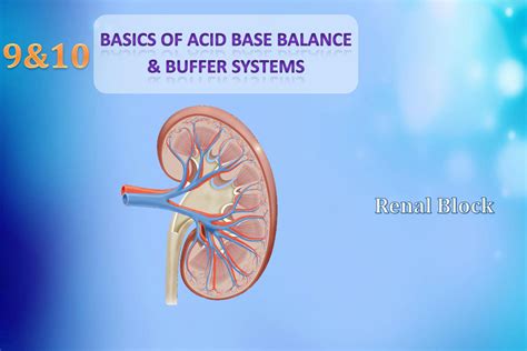 SOLUTION Basics Of Acid And Base Balance And Buffer System Studypool