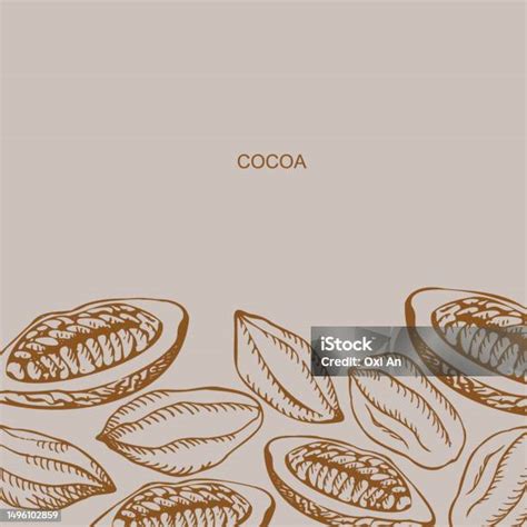 코코아 세트 배경 템플릿입니다 손으로 그린 스케치 코코아 콩과 코코아 나무 라벨 배너 포스터 엠블럼 카드 카페 상점 메뉴용 로고를 위한 유기농 제품 디자인 요소 벡터 고풍