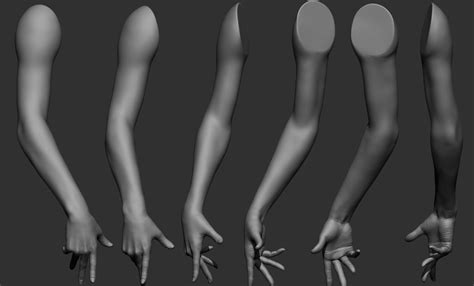 Human Female Arms