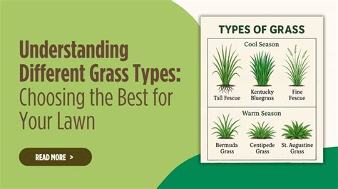 Choose The Best Grass For Your Lawn Hillside Lawn Service