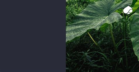 Women In Ai Awards Capgemini Uk