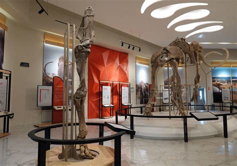 Del Aifa A Teotihuacán Así Es La Nueva Ruta Del Turitour Infobae