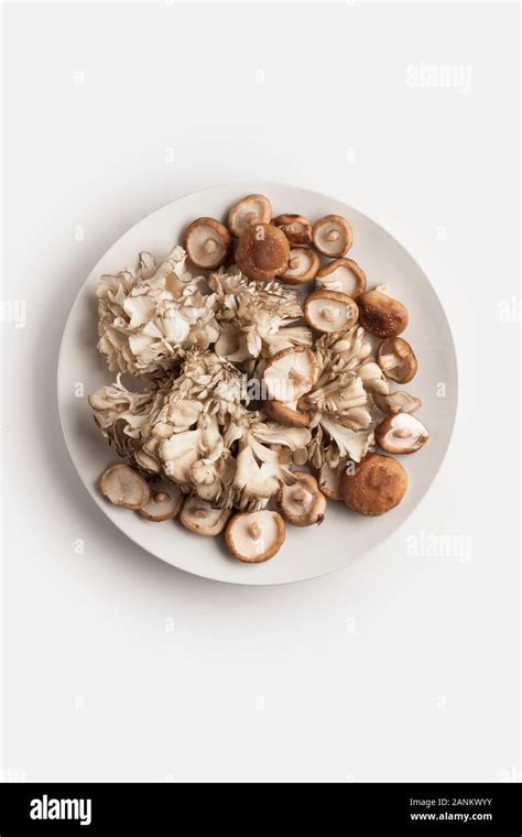 Maitake Shiitake At Georgia Levvy Blog