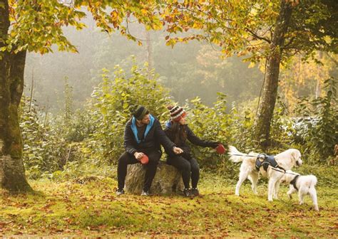 Coillte On Linkedin Sundaystroll