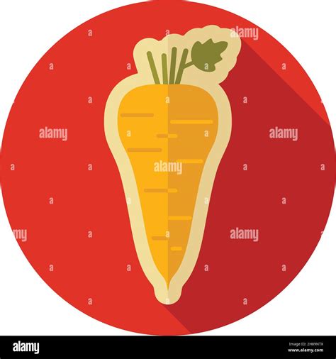 parsnip root flat icon vegetable vector illustration stock vector