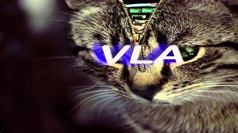 Excision And Downlink Robo Kitty Youtube