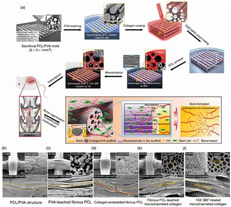 3d And 4d Printing Hydroxyapatite Based Scaffolds For Bone Tissue Engineering And Regeneration