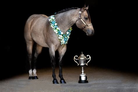 Mcleods Daughters Fan Site Mcleods Daughters Fan Site