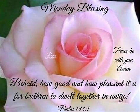 Monday Blessing A Pink Rose With Inspirational Quote