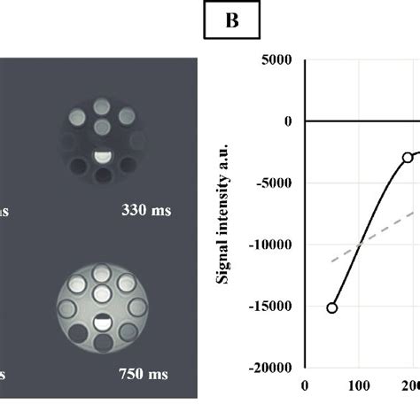 Acquired Pctip Images And Curve Fitting For Both T1 Analyses Formulas