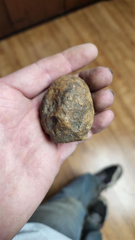 Is This A Fossilized Egg R Fossilhunting