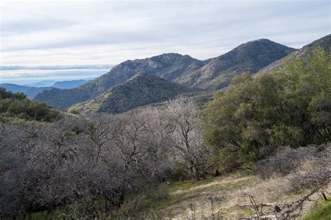 Case Mountain Ck Outside
