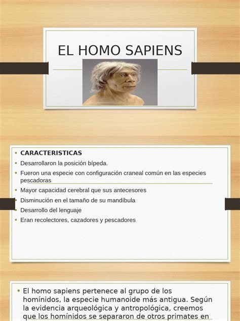 Características Del Homo Sapiens Y Hallazgos Pdf Homo Humano
