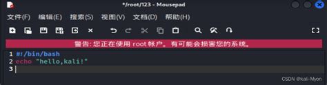 kali linux 的常用命令 kali linux常用命令 csdn博客