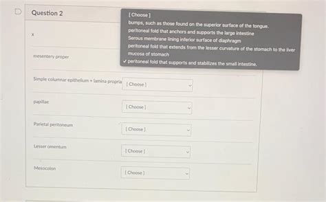Solved Question Pts Match Each Numbered Item With The Chegg