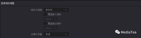 davinci 项目设置：图像缩放调整 csdn博客