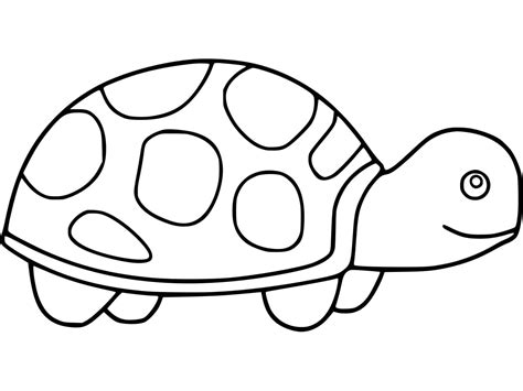 Tortoise Coloring Pages Coloringlib