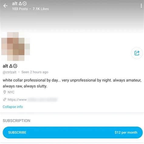낮엔 판결 내리고 밤엔 美 판사 포르노 스타 부업으로 해고 전자신문