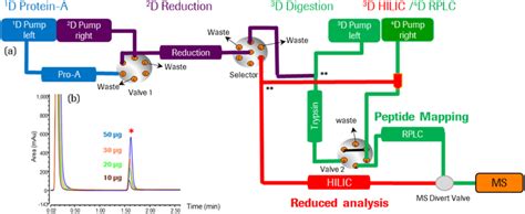 schematic representation of four‐dimensional and three‐dimensional
