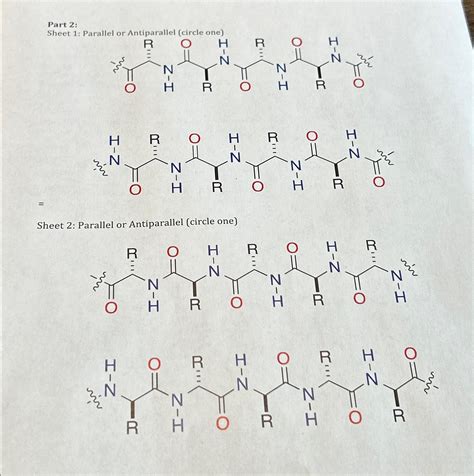 Solved Basic Concepts Worksheet 1.3Description: Peptides are | Chegg.com