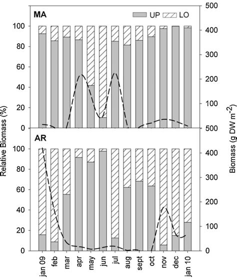 Biomass Of The Wrack Inputs Monthly Variability Of Wrack Inputs On The