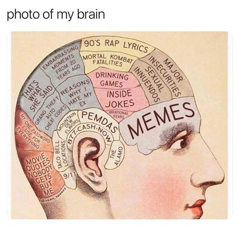 The Best Memory Memes Memedroid