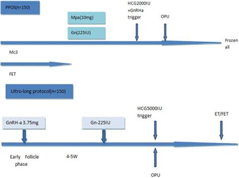 Stimulation Protocols In Ovarian Endometriosis During Ivf Download Scientific Diagram