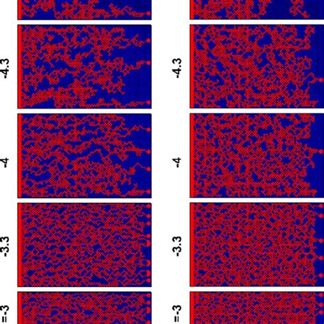 Pdf Lattice Boltzmann Simulation Of Immiscible Fluid Displacement In