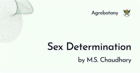 Sex Determination Ppt
