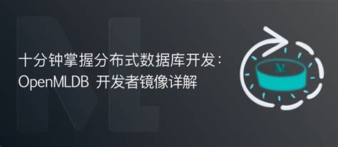 十分钟掌握分布式数据库开发：openmldb 开发者镜像详解 人工智能 第四范式开发者社区 infoq写作社区