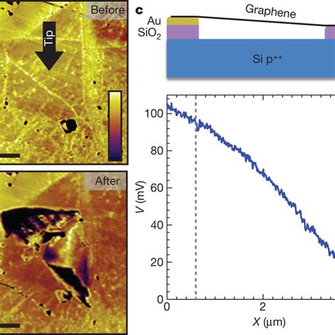 Pdf Grains And Grain Boundaries In Single Layer Graphene Atomic